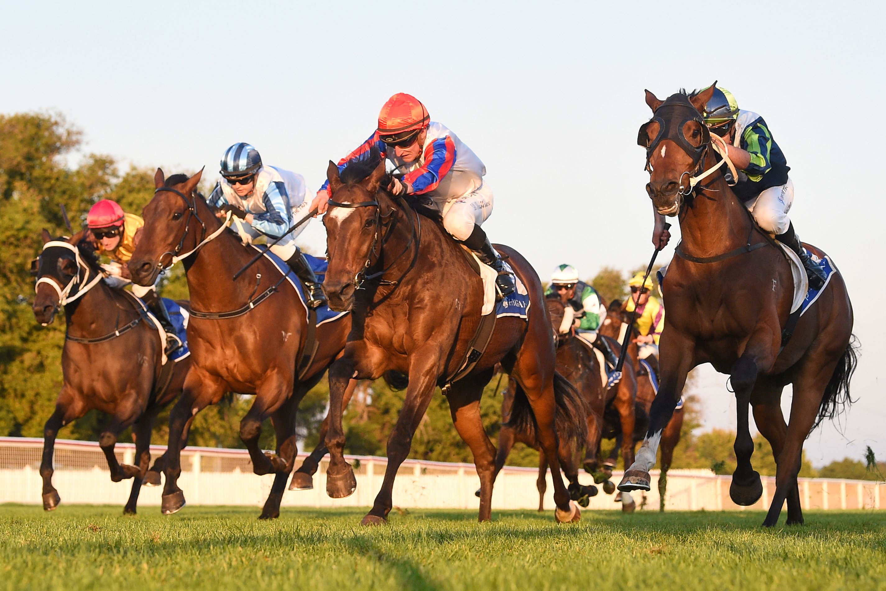 Cannons set to fire at Flemington